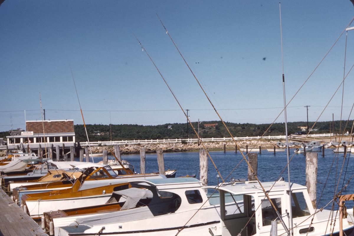 Old Wellfleet circa 1950's | wellfleetma
