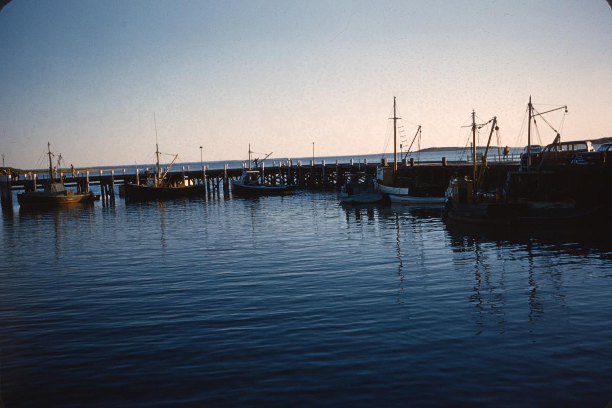 Old Wellfleet circa 1950's | wellfleetma